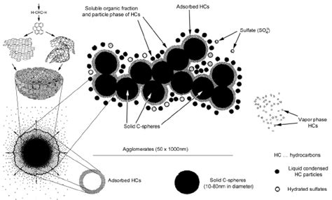 Schematic Representation Revealing The Formation Process And The