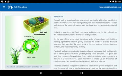 Cell Structure Apk For Android Download