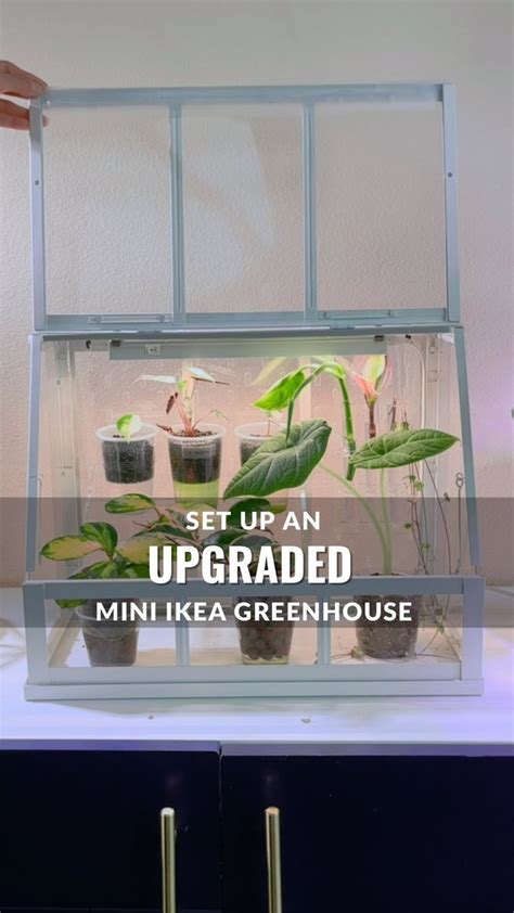 Best 12 Ikea Greenhouse Cabinet For Houseplants Part 1