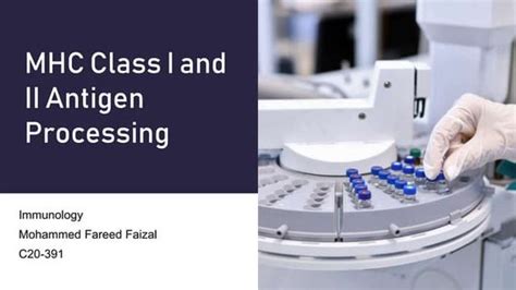 Lecture On Antigen Processing And Presentation Pathways Pdf Chemistry Science