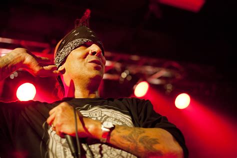 Hed Pe Zy Co Design And Photo