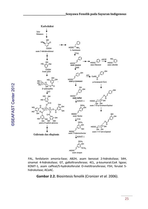 2 Biosintesis Pdf