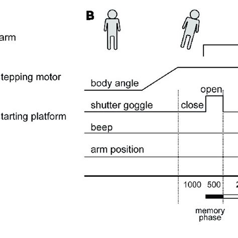 7 A Egocentric And C Allocentric Frames Of Reference Combined With