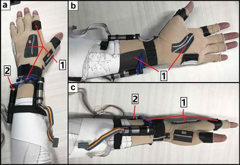 A Prototype Of A Wtsd Developed For Testing On Individuals With