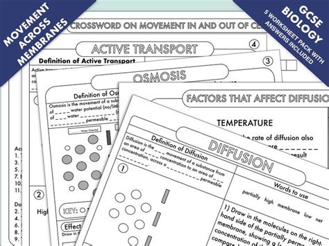 GCSE Biology Diffusion Osmosis And Active Transport Worksheet Pack Teaching Resources