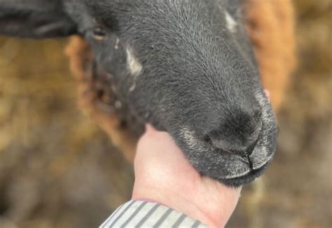 Latest News Riverside Education