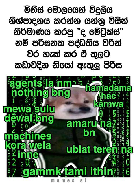 The Matrix Memes R Tkasylum