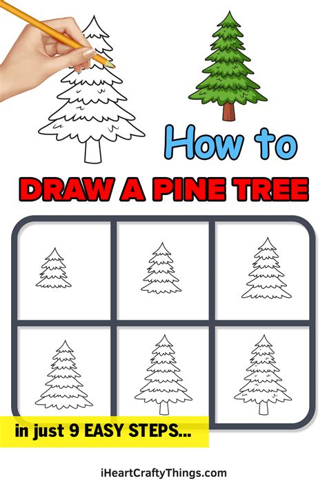 Pine Tree Drawing How To Draw A Pine Tree Step By Step
