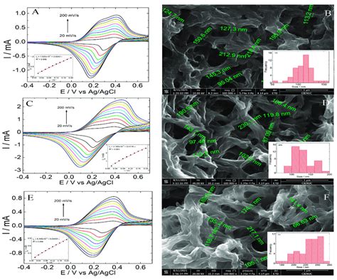 Cv Ace In Acetate Buffer 01 Mol·l −1 Ph 475 At Different Scan