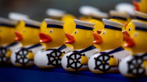 Cruise Ducks Everything You Ever Wanted To Know
