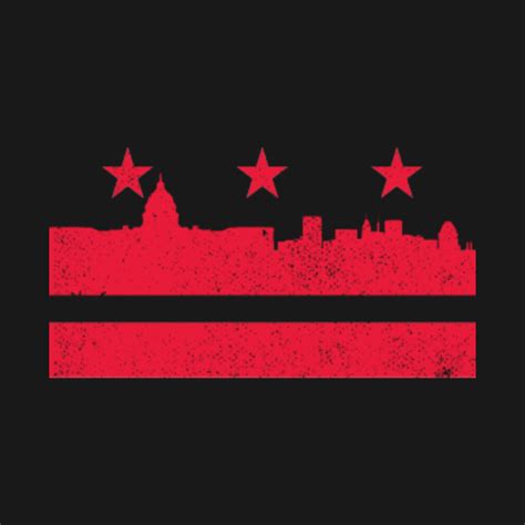 Washington Dc City Flag