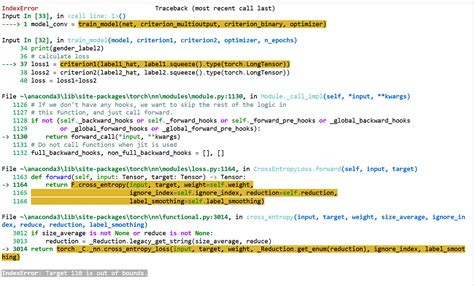Indexerror Target 103 Is Out Of Bounds Vision Pytorch Forums