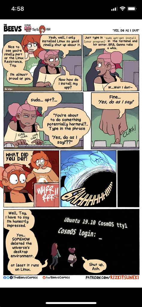 Average Linux Command Credit TheBeevsComics R ProgrammerHumor