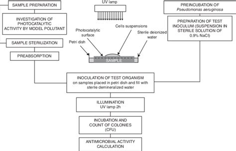Antibacterial Activity Test Procedure At Mark Villa Blog
