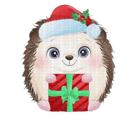 weihnachten igel geschenk weihnachten igel geschenk free png