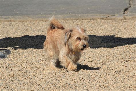 Ralphie By Secretpoet17 On Deviantart