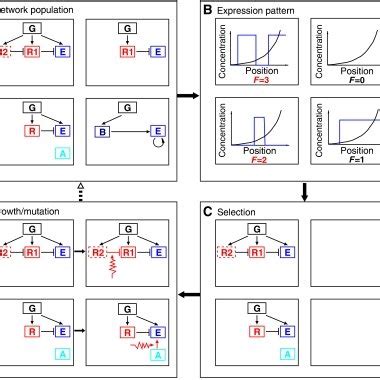 Overview Of One Generation Of The Evolution Algorithm At Each Download Scientific Diagram