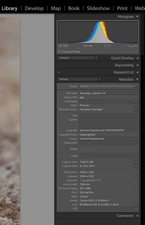 What Is Exif Data Photographyaxis