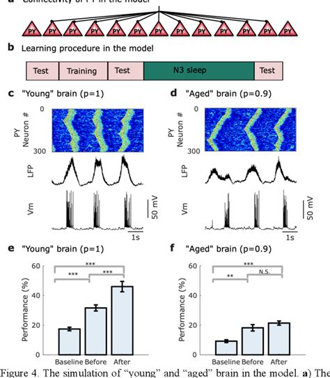 Figure 4 From The Role Of Age Related Sleep EEG Changes In Memory Decline Experiments And