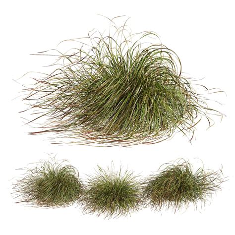 Ntal Grasses These Tufted Wind Swept Grasses Are Modeled With Exceptional Care To Capture