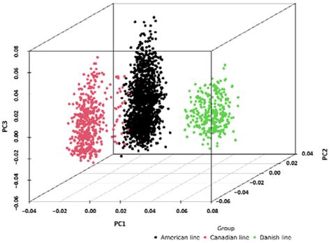 Genomic Scan For Runs Of Homozygosity And Selective Signature Analysis To Identify Candidate
