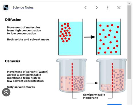 Unit 3 Biology Exam Flashcards Quizlet