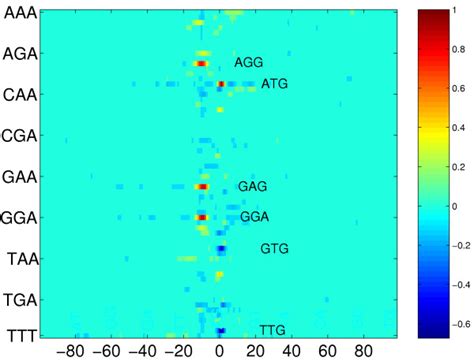 Image Matrix Of Discriminative Weight Functions Derived From Trained