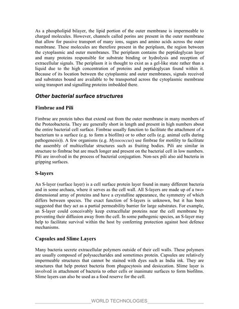 Chapter 2 Gram Negative Bacteria And Gram Positive Bacteria Gram