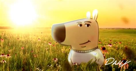 Что за мем с собакой Я просто чилловый парень Just A Chill Guy Афиша Daily