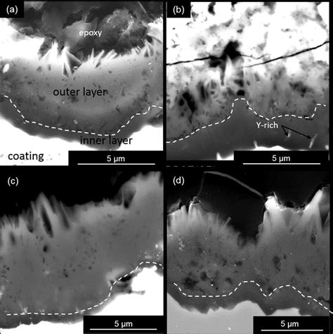 Cross Section Of Tgo After Isothermal Oxidation At 900 °c Yru Doped