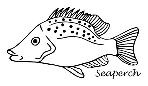 Perch Fish Sketch Hand Drawn Vector Illustration Seafood Design