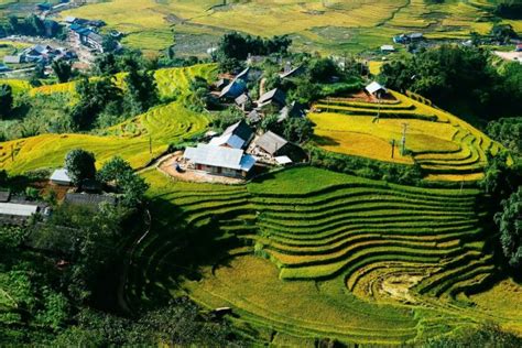 Trekking In Sapa A Guide To Nature And Culture