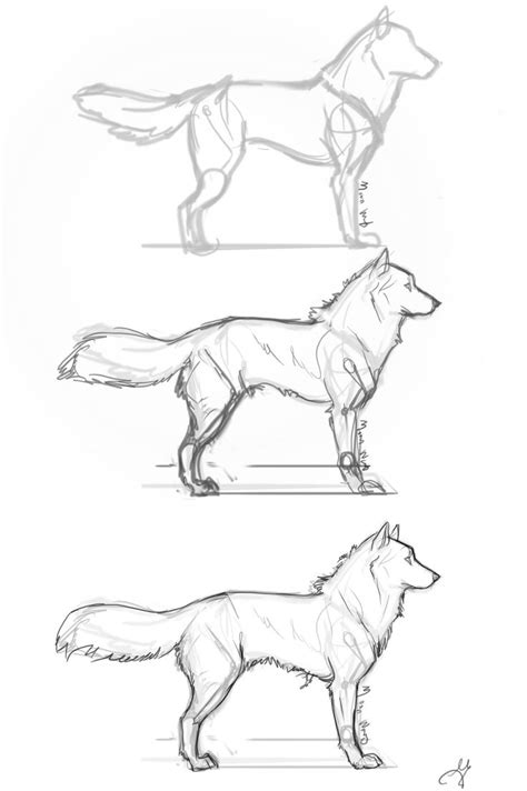 Anime Dog Drawing At Getdrawings Free Download