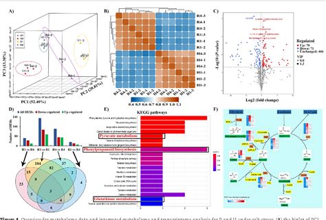 Figure 2 From Comparative Transcriptome And Metabolome Analysis Reveal