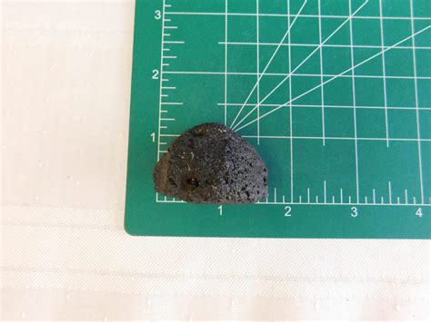 Florida Turtle Claw Fossil Fossils And Artifacts For Sale Paleo