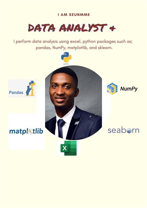 Perform Any Data Analysis Data Visualization With Python Excel By Seunmme Fiverr
