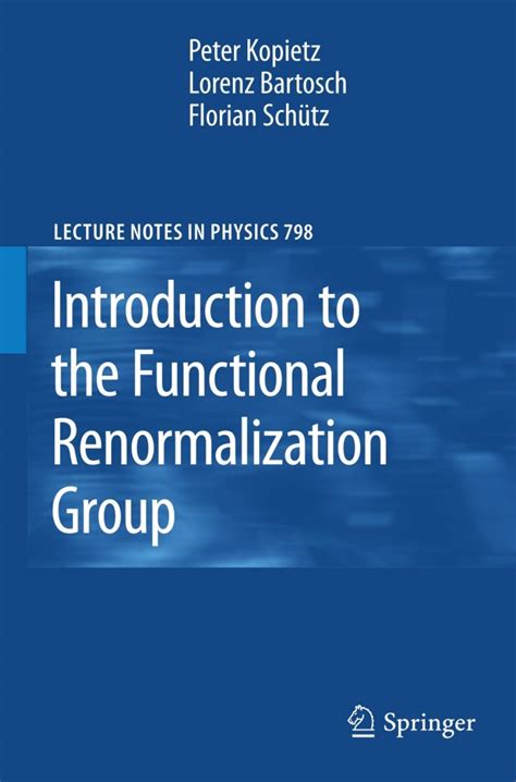 Introduction To The Functional Renormalization Group Premiumjs Store