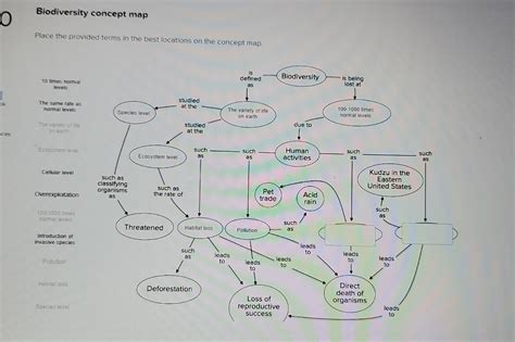 Solved Biodiversity Concept Mapplace The Provided Terms In