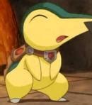 Cyndaquil Voice Pokémon Arceus And The Jewel Of Life Movie