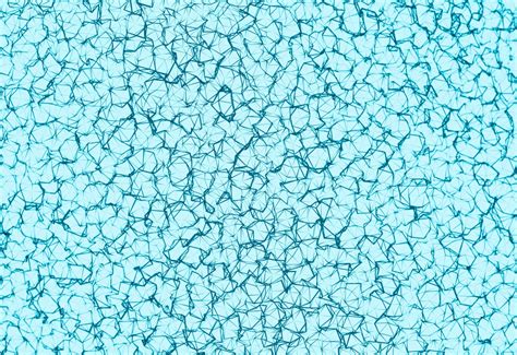 Colposcopy Needed For Hr Hpv Positive Cytology Negative Women