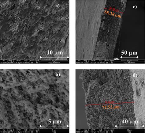 Sem Cross Sectional Micrograph Of A Cs Pta Membrane With Tio2