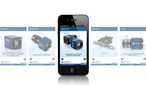 Mrmass Interactive® Building Connections Through Dynamic Design Solutions