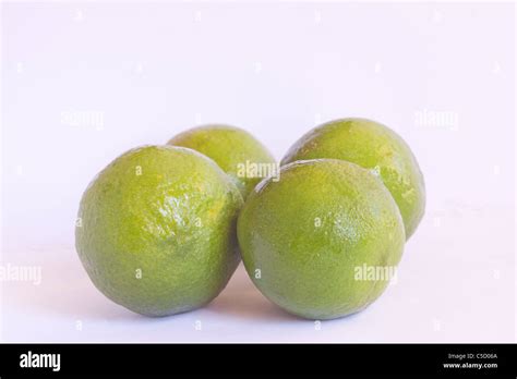 Freshly Picked Green Lemon Macro Shot Isolated On White Background Stock Photo Alamy