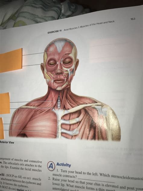 Figure 3 Diagram Quizlet