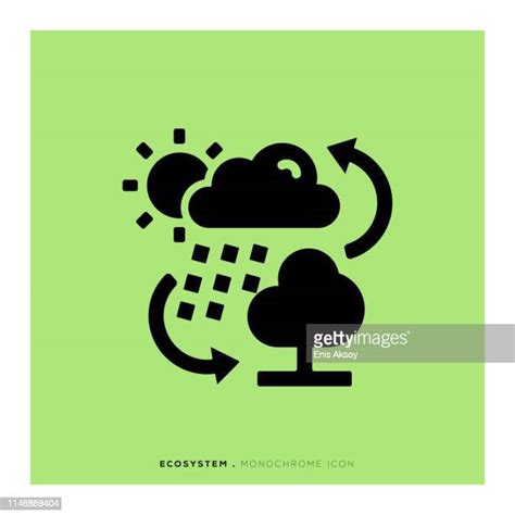 85 Data Ecosystem Icon High Res Illustrations Getty Images