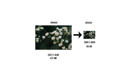 Image Resizing And Cropping By Razablogpost Fiverr