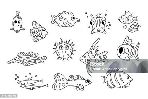 귀여운 물고기 낙서 세트 만화 개요 바다 거처의 벡터 컬렉션입니다 손으로 그린 스타일의 야생 해양 생물 아이들을 위한 흑백