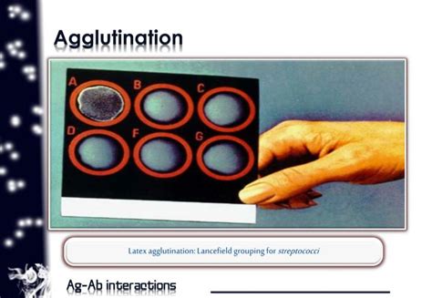 Ppt Agglutination Powerpoint Presentation Id 1984254