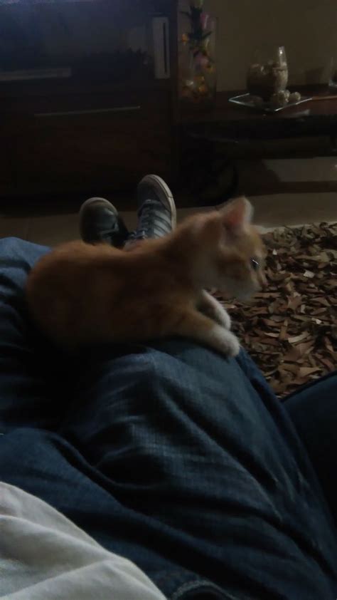 Pin De Alex Pereira En Ely