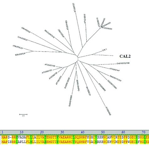 In Vitro Cd Binding Assay A Escherichia Coli Trigger Factor Tf